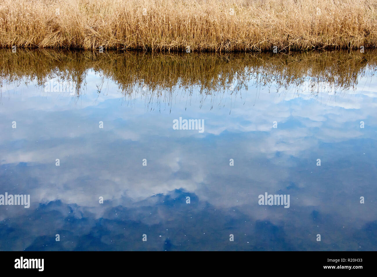 Calm surface hi-res stock photography and images - Alamy