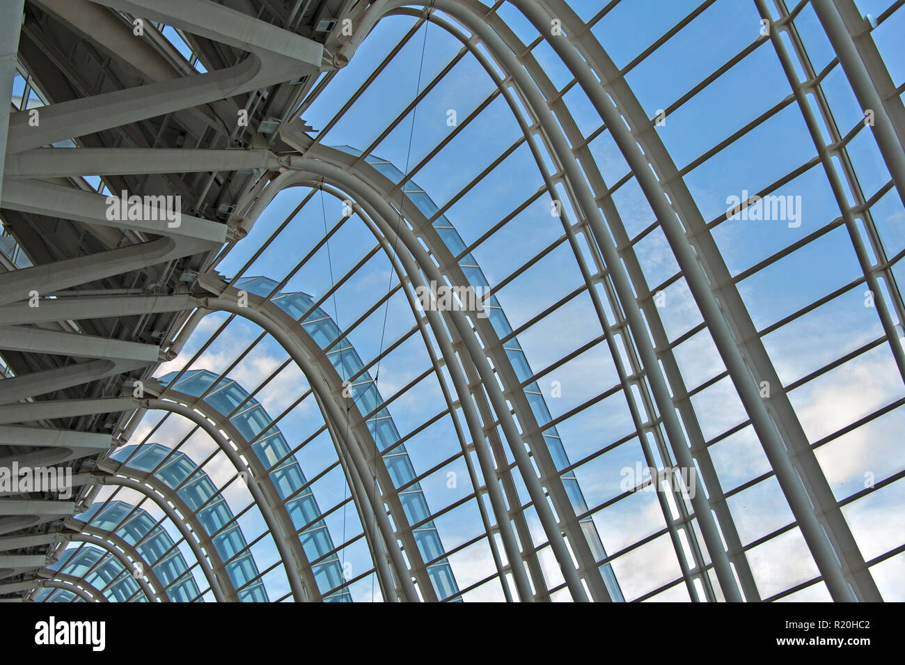 The science museum valencia interior hi-res stock photography and ...