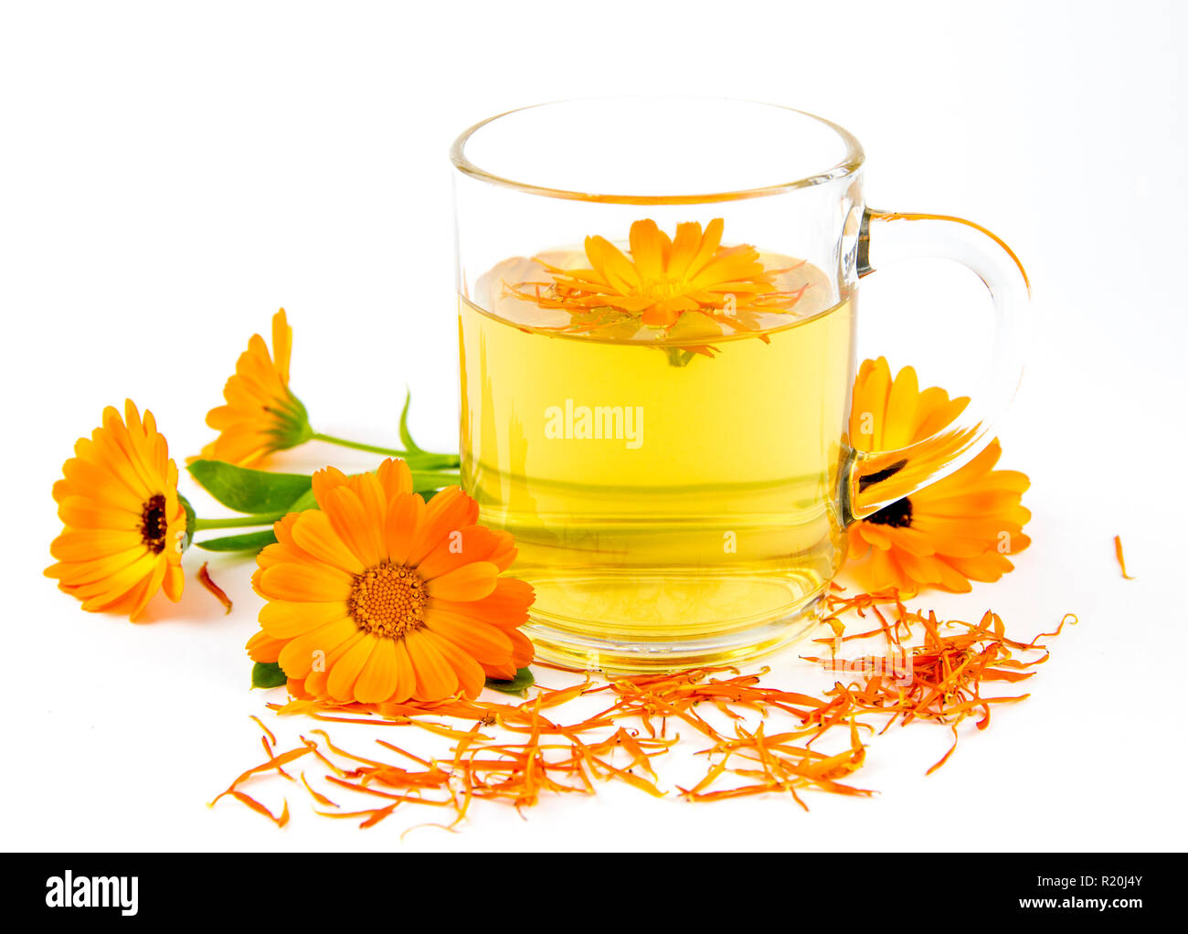 Calendula officinalis tea hi-res stock photography and images - Alamy