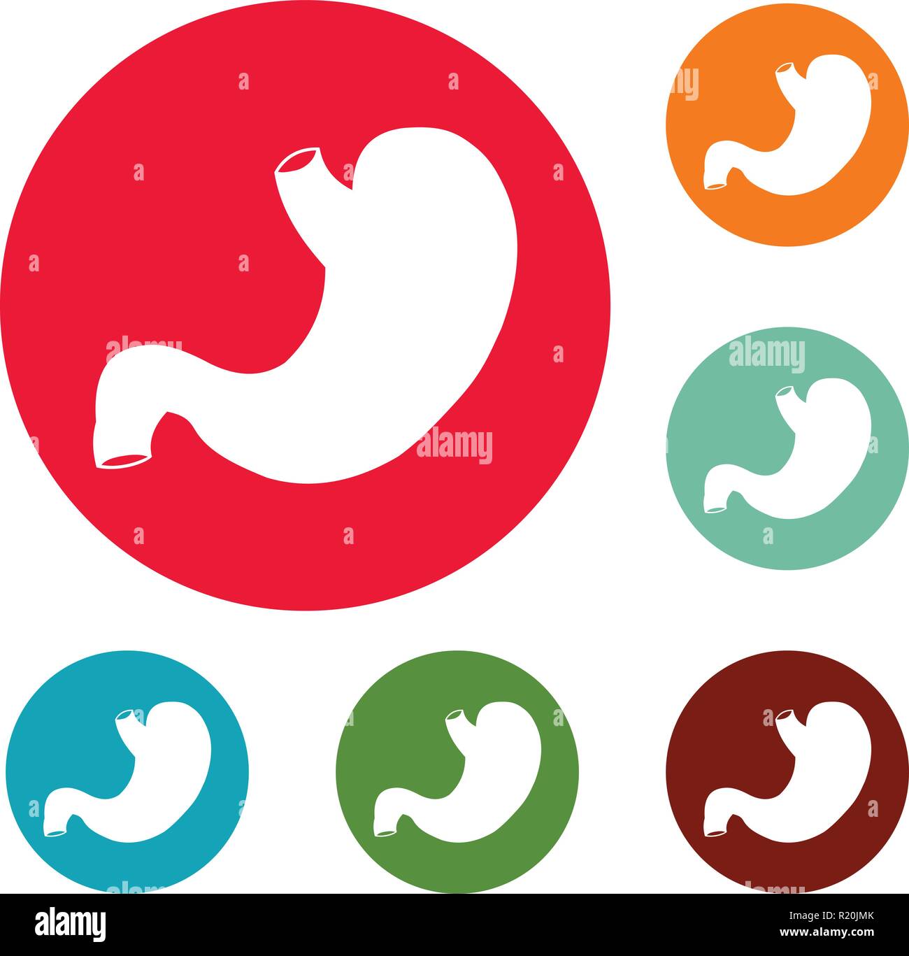 Stomach icons circle set vector isolated on white background Stock ...
