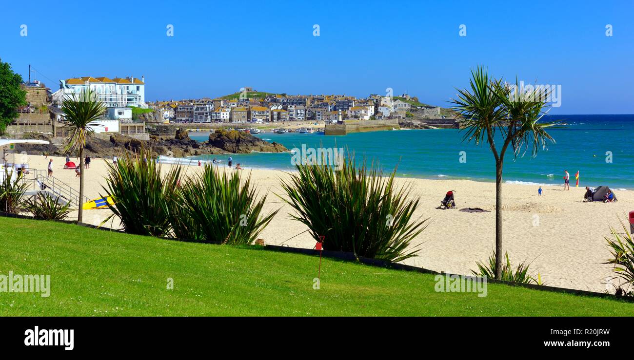 Cornwall palm trees hi-res stock photography and images - Alamy
