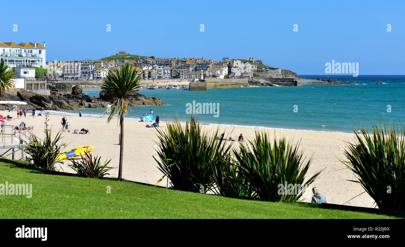 Cornwall palm trees hi-res stock photography and images - Alamy