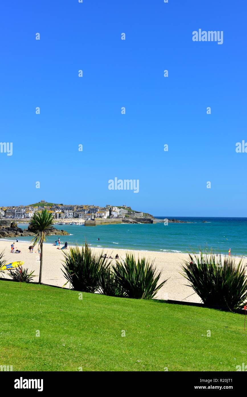 Cornwall palm trees hi-res stock photography and images - Alamy