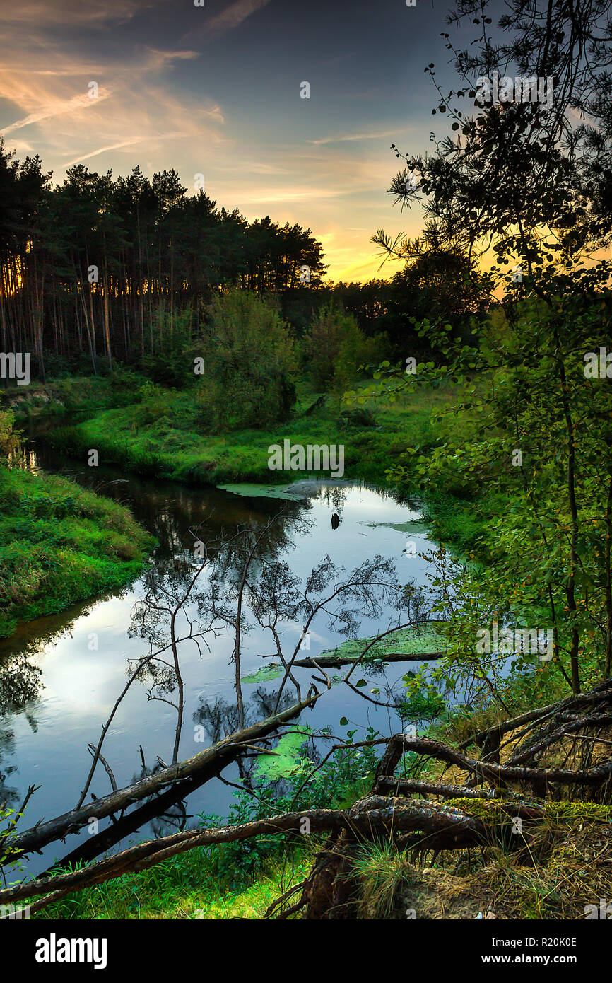 Mysterious river on an autumn morning Stock Photo - Alamy