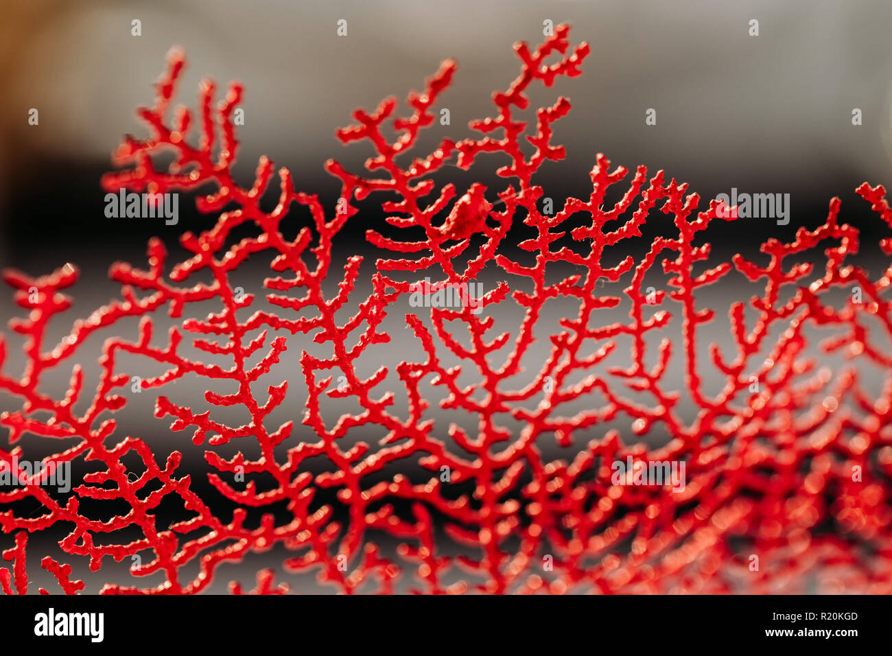 Coral texture hi-res stock photography and images - Alamy