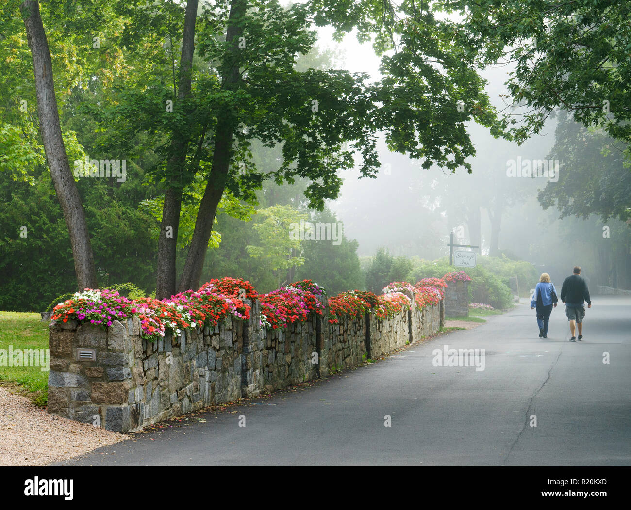 On a misty morning, couple walking on Albert Meadow street, Bar Harbor ...