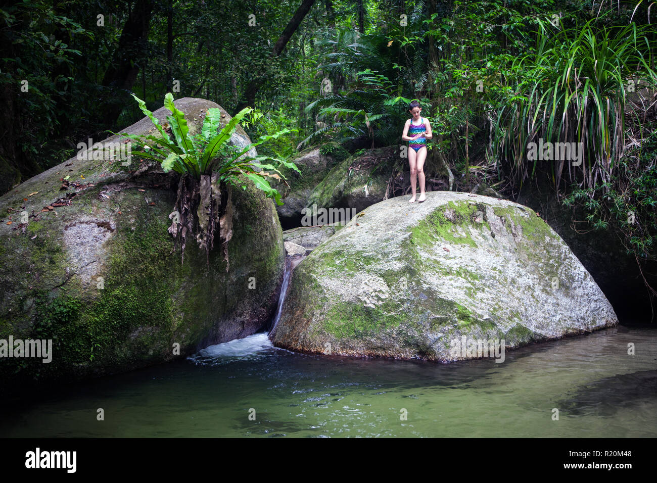 Mossman Gorge, North Queensland, Australia Stock Photo - Alamy