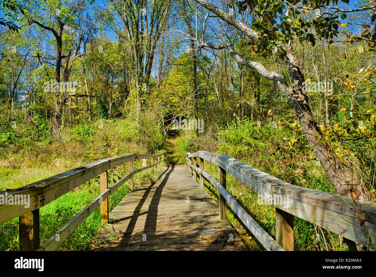 Bridge to the wild side Stock Photo - Alamy