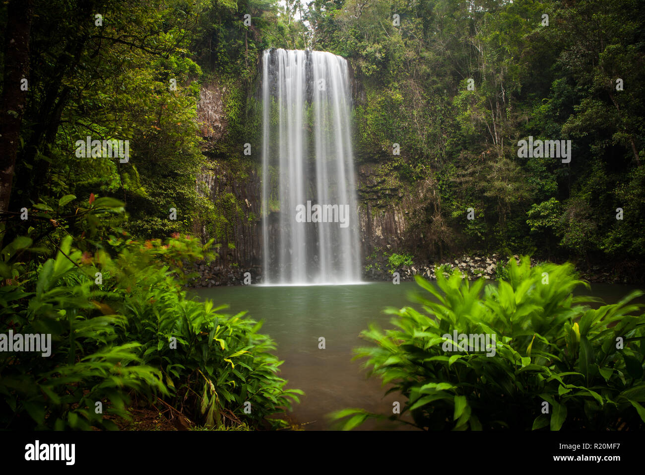 Millaa millaa falls hi-res stock photography and images - Alamy