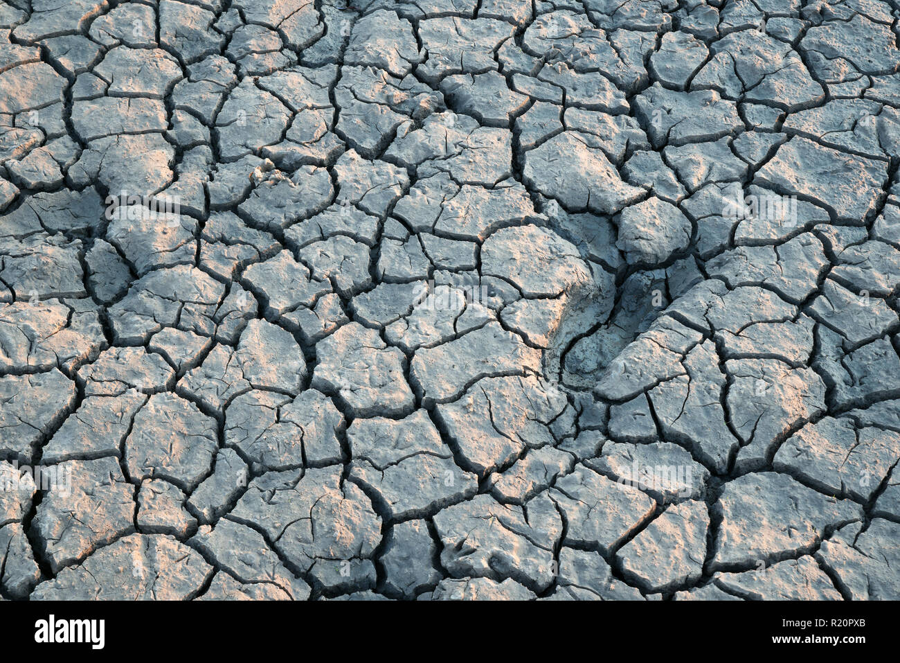 Rhino tracks hi-res stock photography and images - Alamy