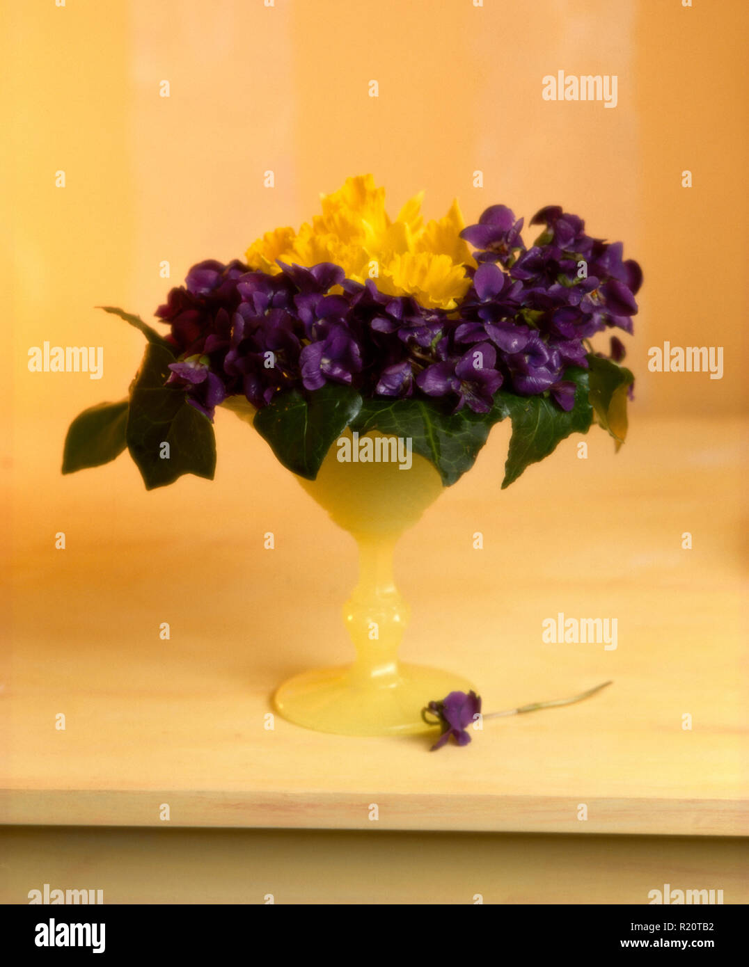 Daffodils and purple violets in stemmed vase Stock Photo - Alamy