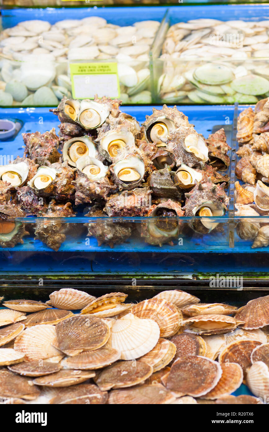 Sea snails and scallops at fish market in Seoul, Korea Stock Photo - Alamy