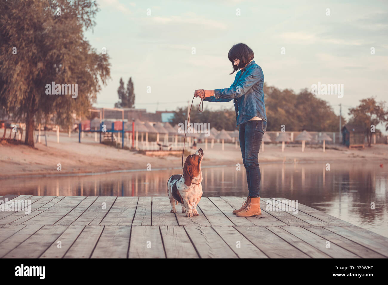 Basset Hound Puppy Play High Resolution Stock Photography and Images ...