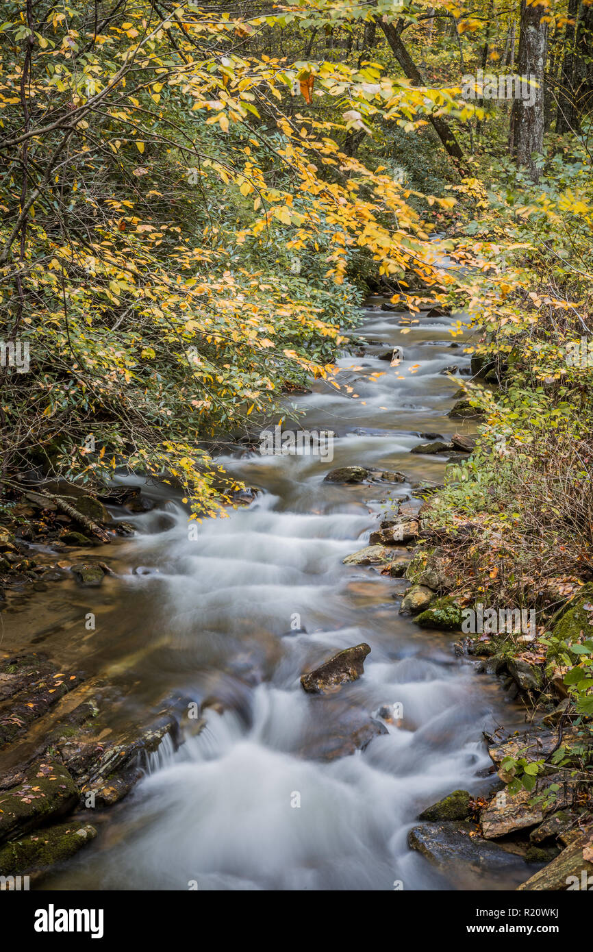Mountain stream flowing through a forest in fall colors Stock Photo - Alamy