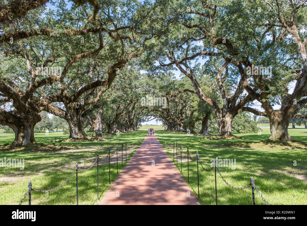 Impression of Oak Alley Plantation Stock Photo - Alamy