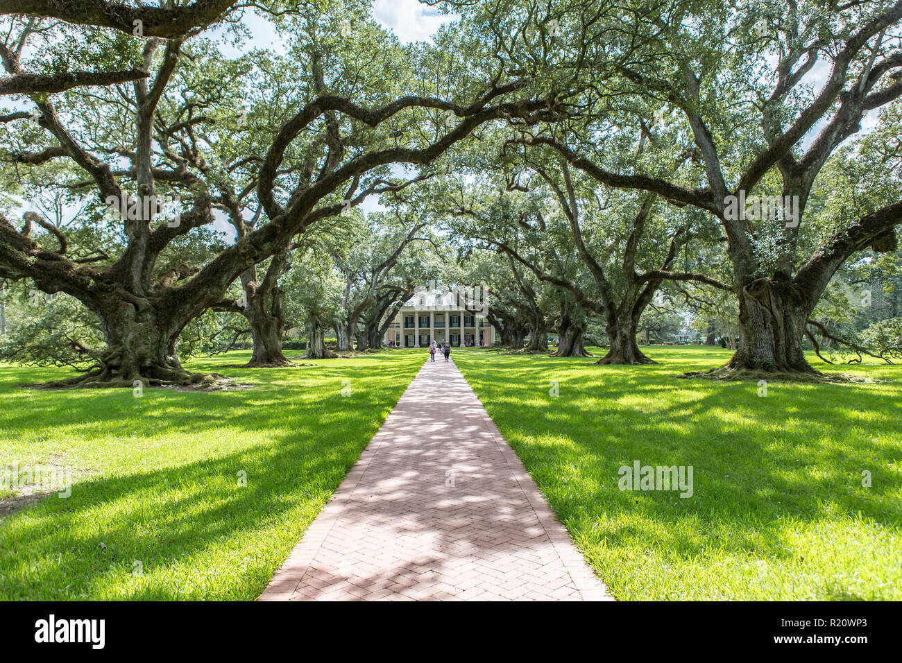 Oak alley plantation hi-res stock photography and images - Alamy
