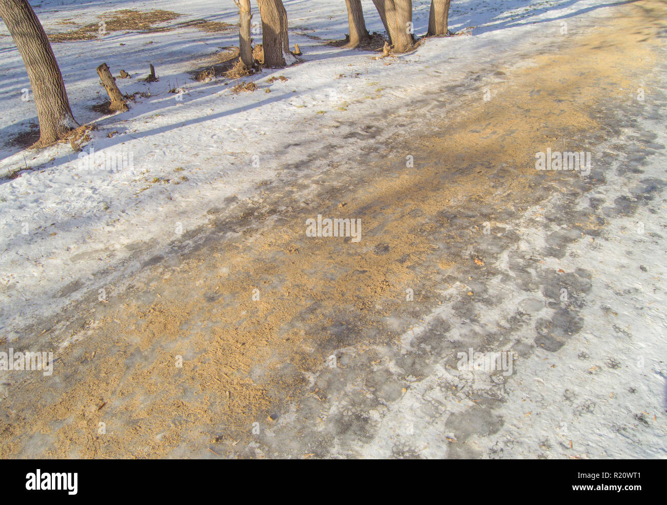 The road in the Park is covered with sand, the fight against ice and ...