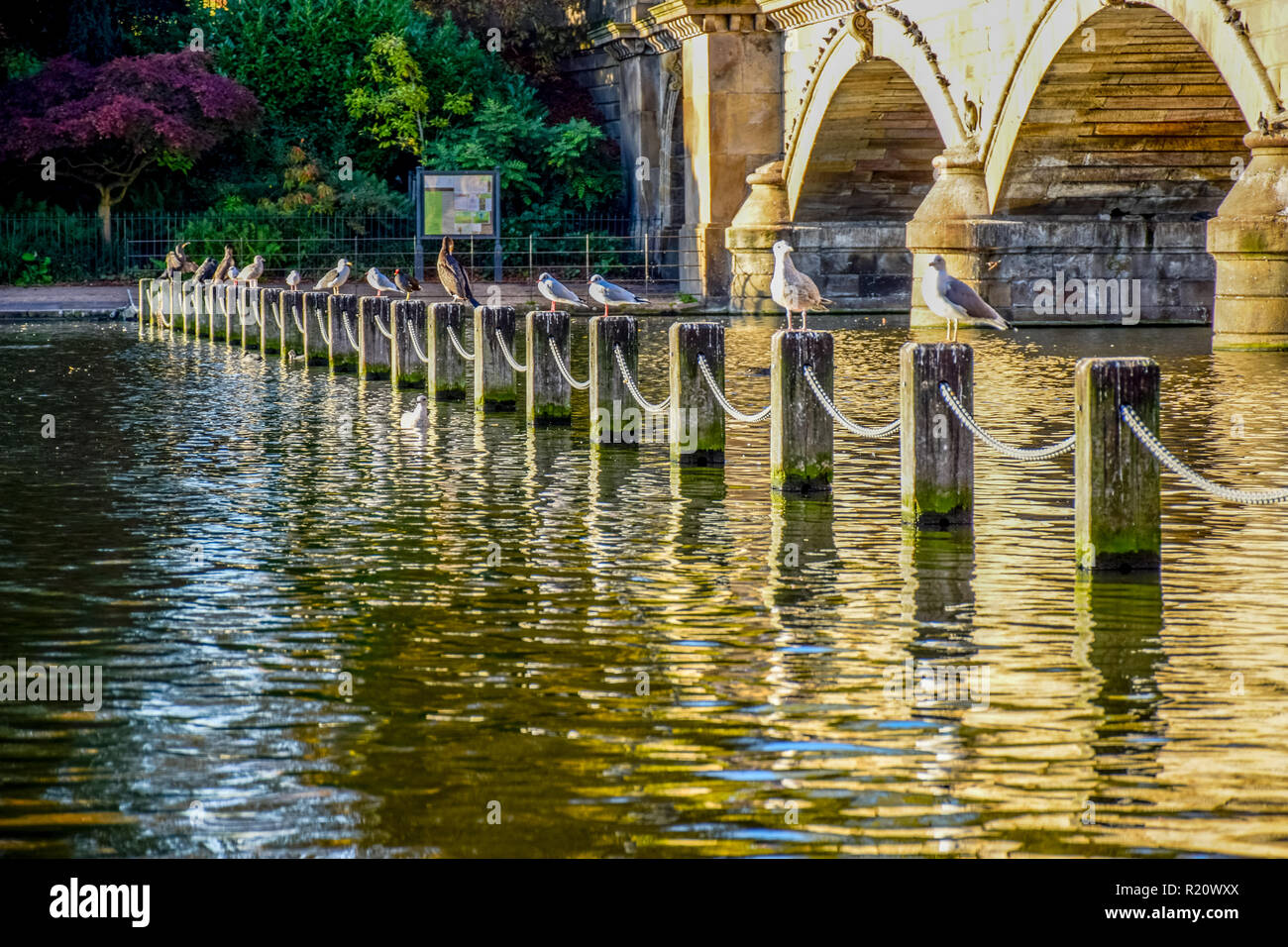 Beautiful landscape view of Serpentine Lake and Serpentine Bridge in ...