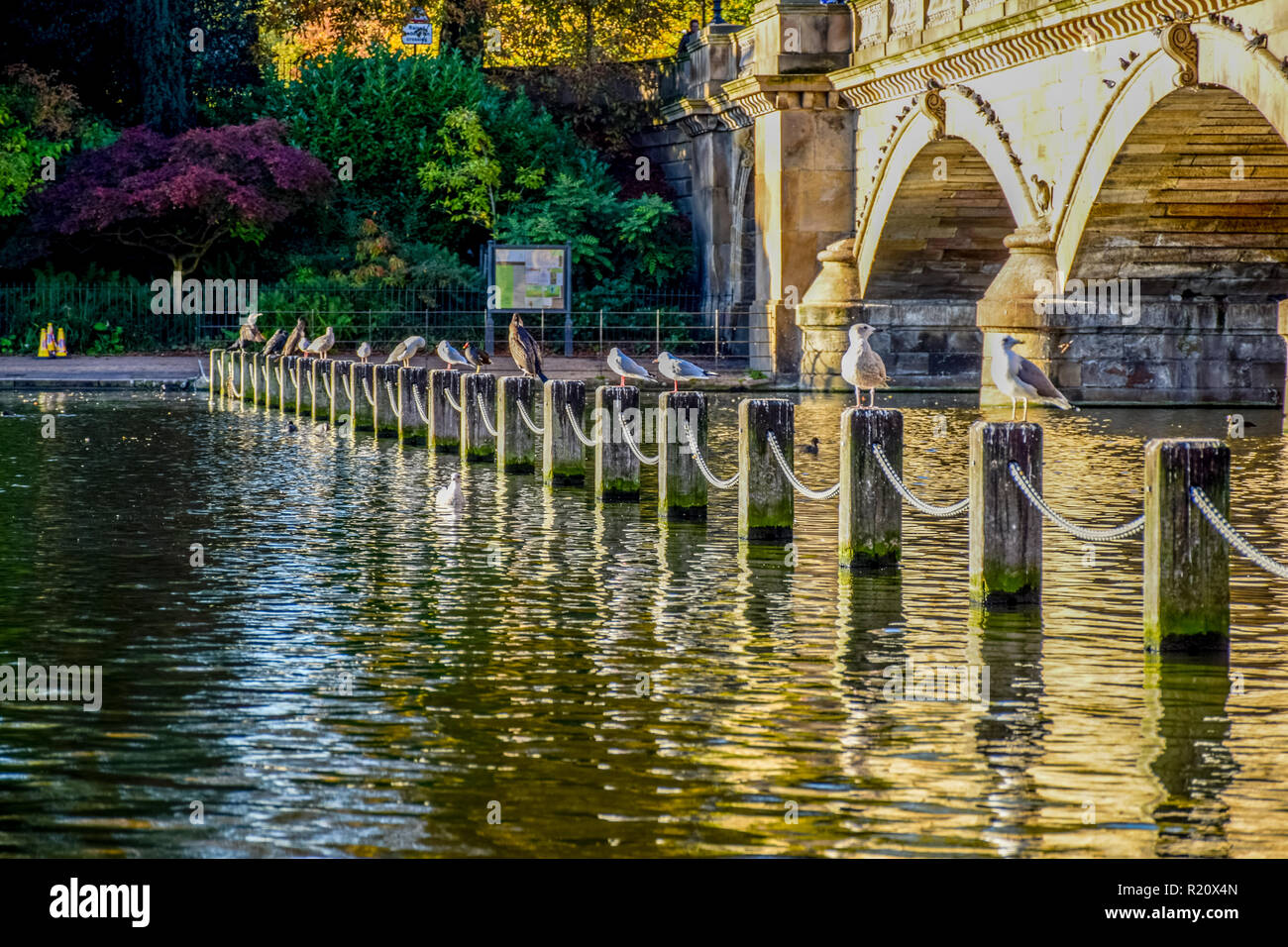 The Serpentine River, Hyde Park London High Resolution Stock ...
