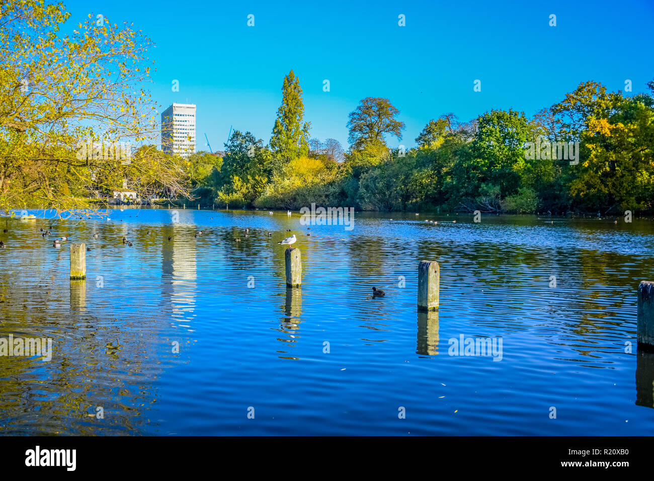The Serpentine River, Hyde Park London High Resolution Stock ...