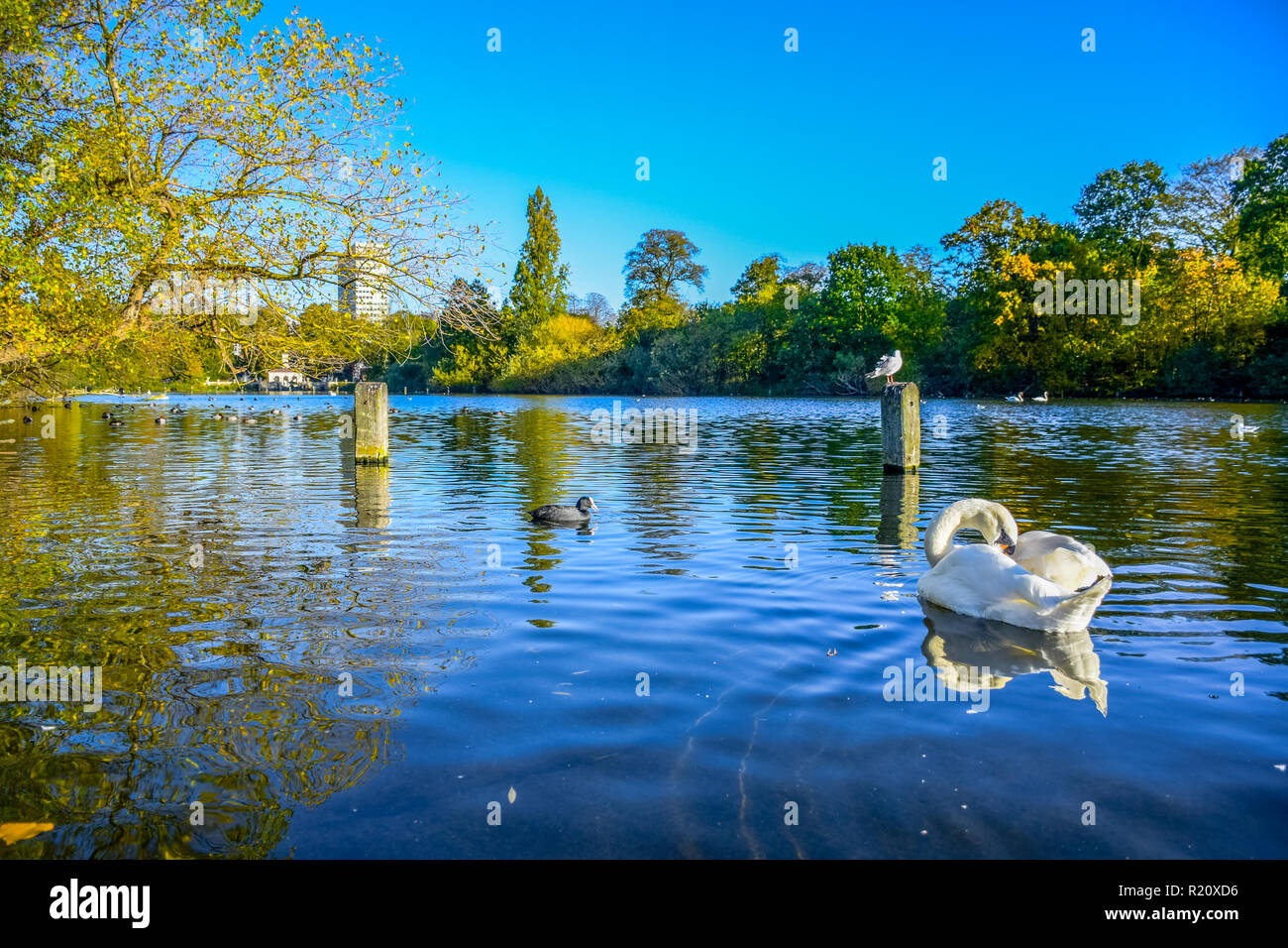 The Serpentine River, Hyde Park London High Resolution Stock ...