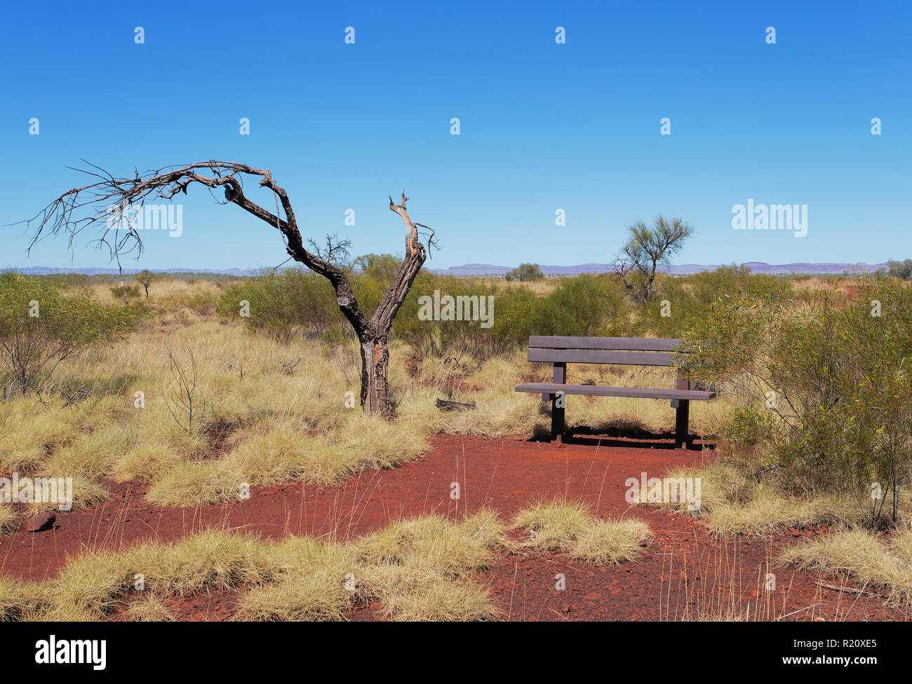 Spinifex country hi-res stock photography and images - Alamy