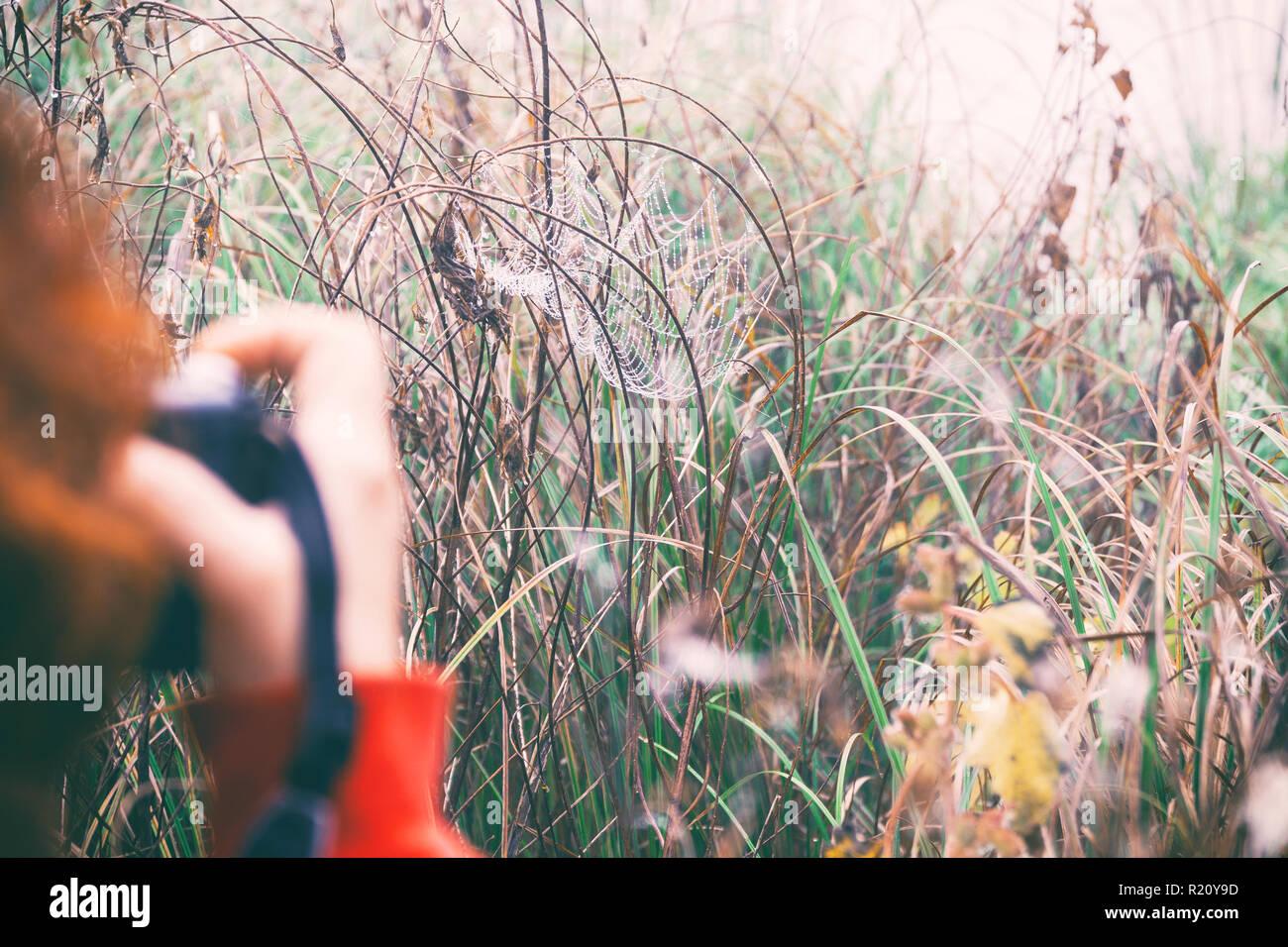 Fog woman blurred hi-res stock photography and images - Alamy