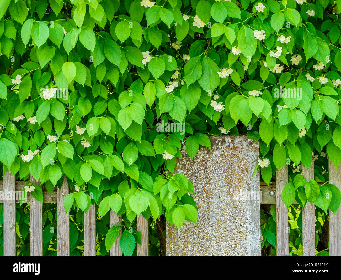 Mostviertel area in Austria Stock Photo - Alamy