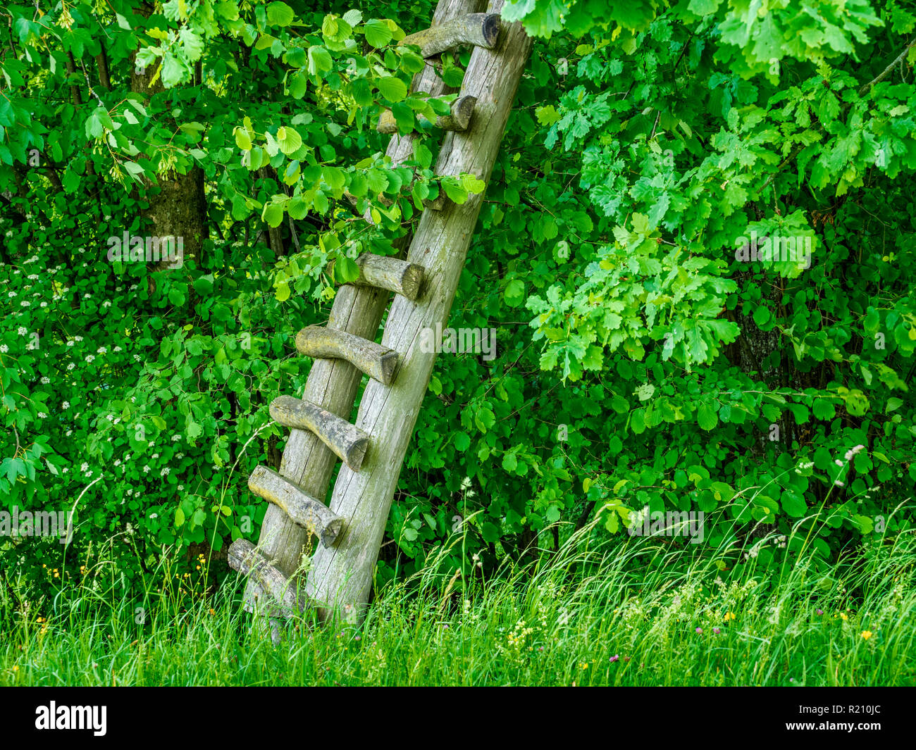 Mostviertel area in Austria Stock Photo - Alamy