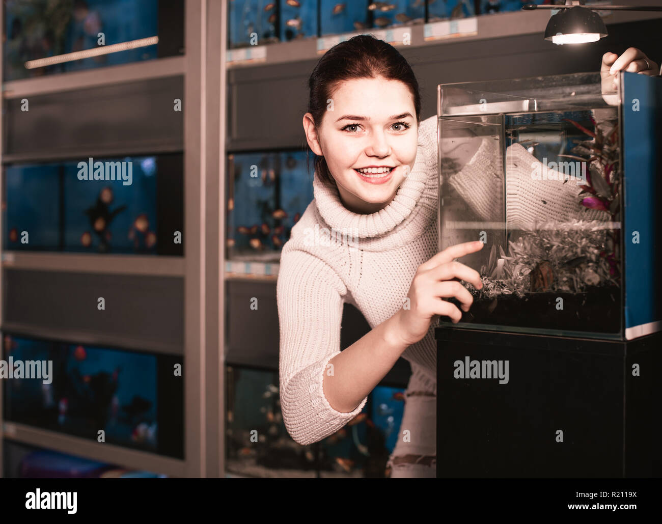 Fish fry aquarium hi-res stock photography and images - Alamy