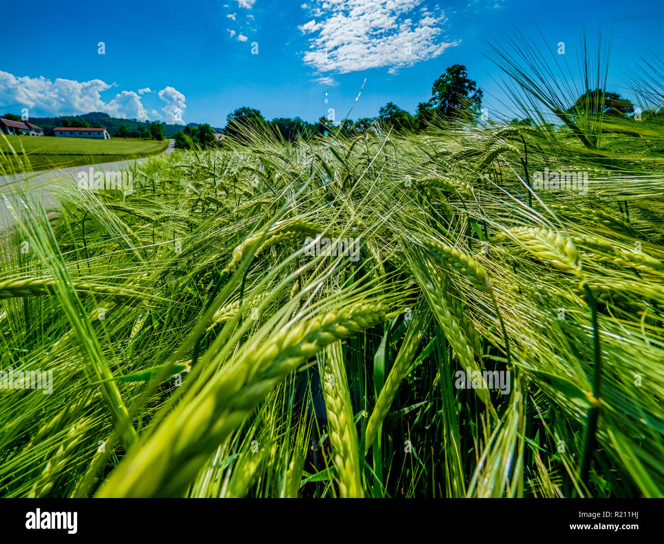 Mostviertel area in Austria Stock Photo - Alamy