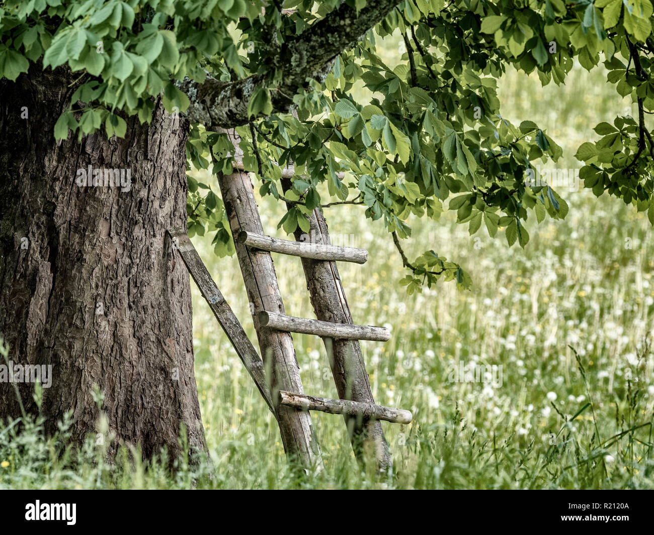 Mostviertel area in Austria Stock Photo - Alamy