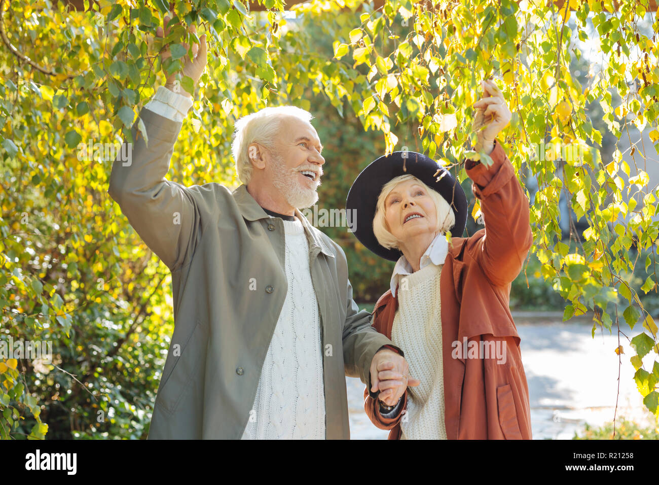 Positive elderly people standing under the tree Stock Photo - Alamy