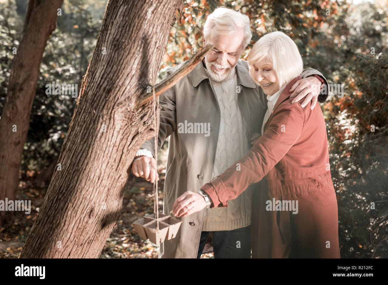 Help birds hi-res stock photography and images - Alamy