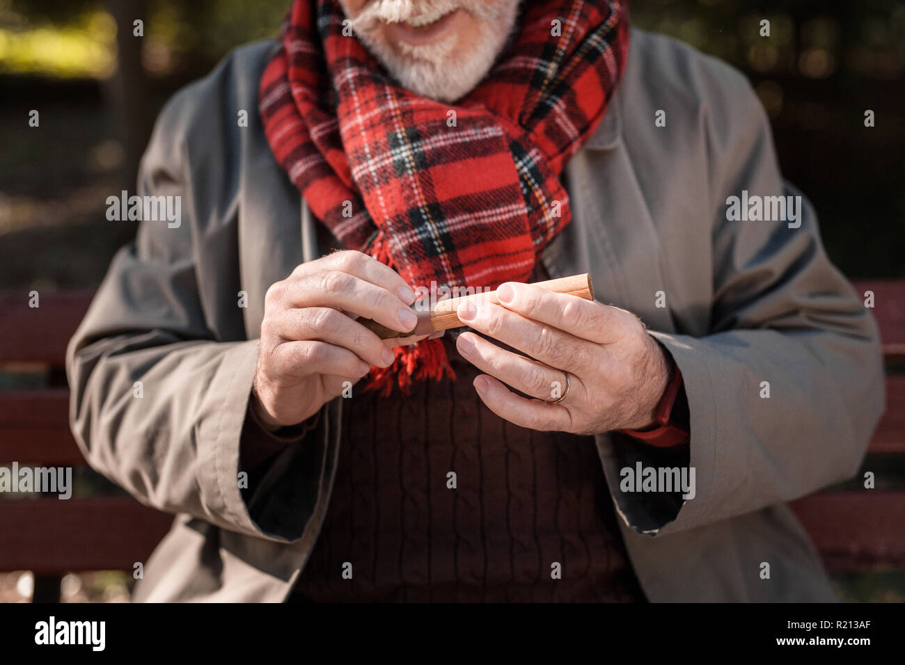 Close up of a real Cuban cigar Stock Photo - Alamy