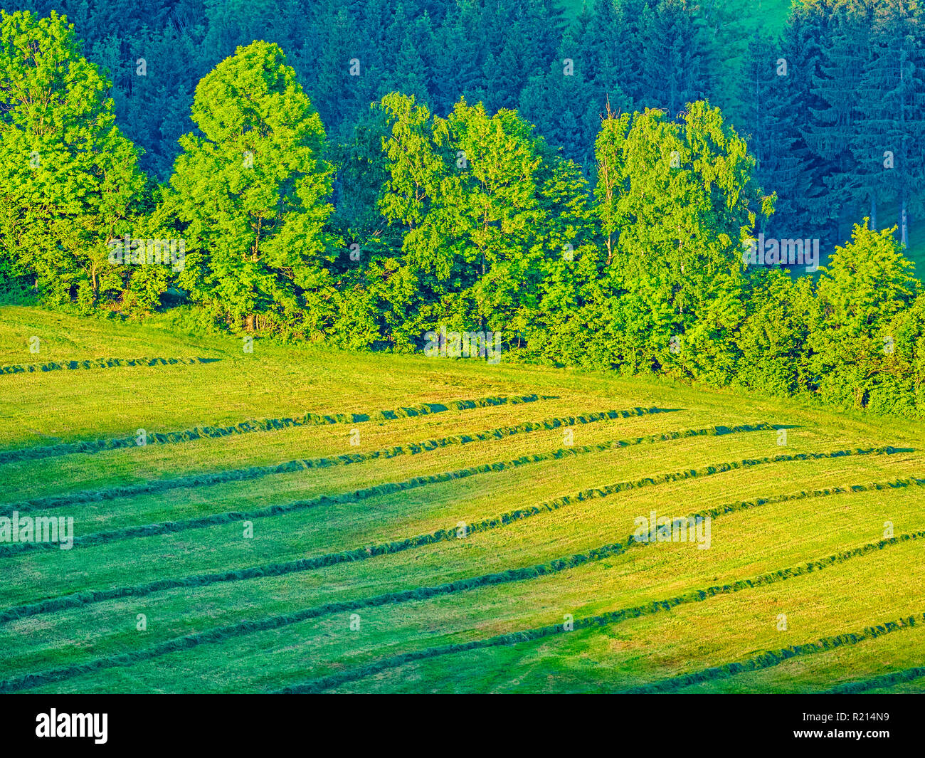 Mostviertel area hi-res stock photography and images - Alamy