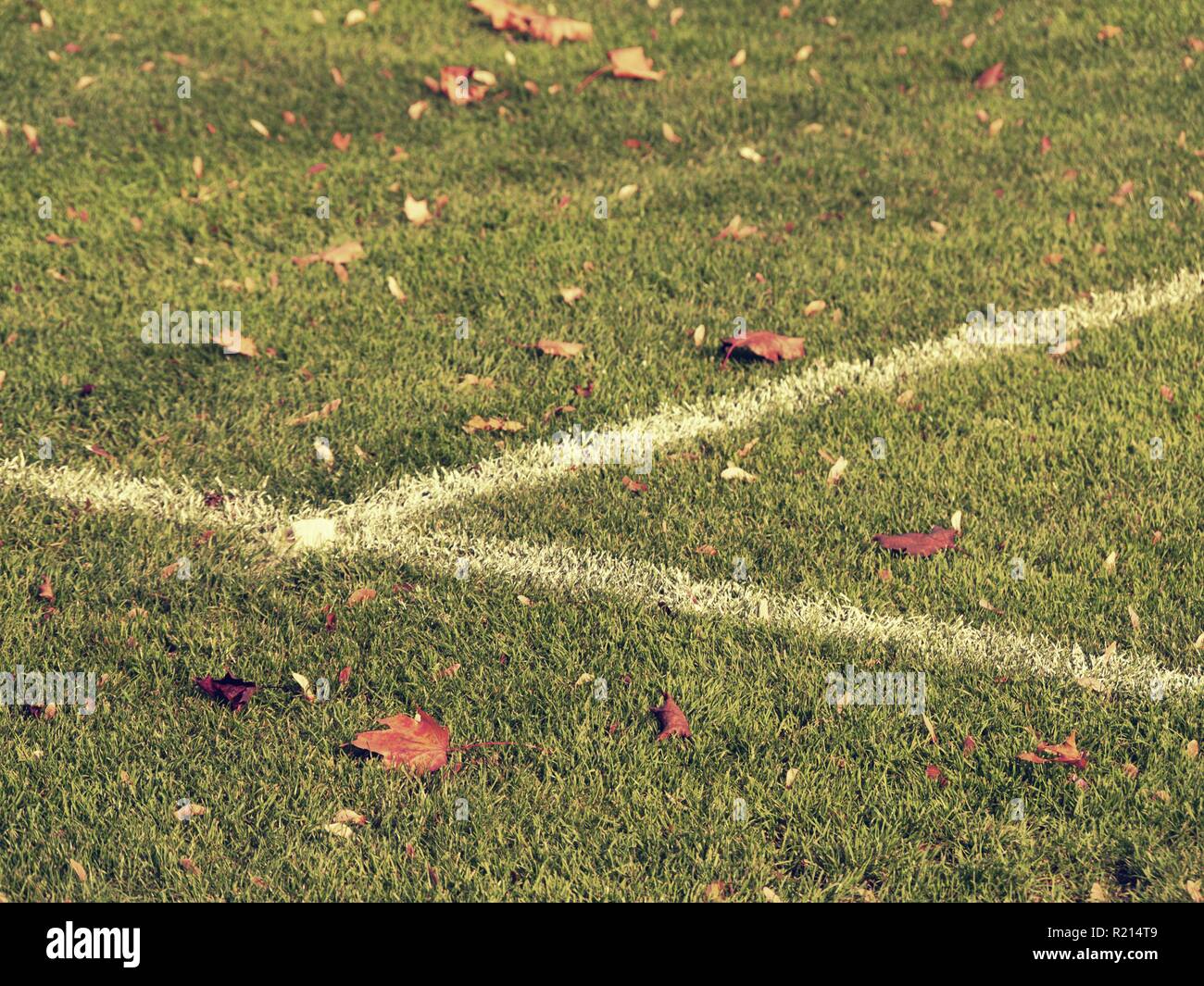Bright play ground leaf hi-res stock photography and images - Alamy