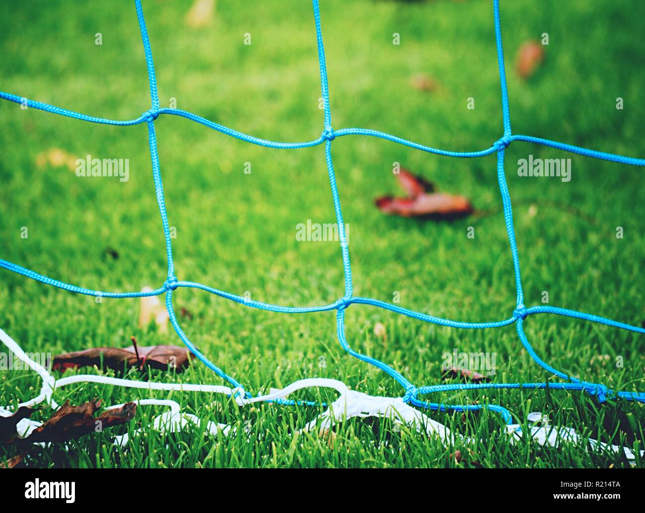Messy football field with colorful autumn maple leaves. Green grass ...