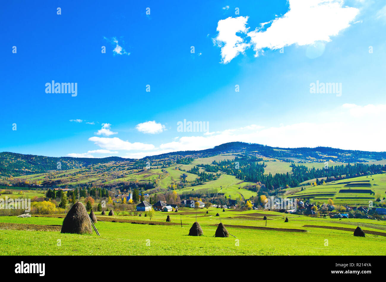 Beautiful forest in ukrainian carpathians hi-res stock photography and ...