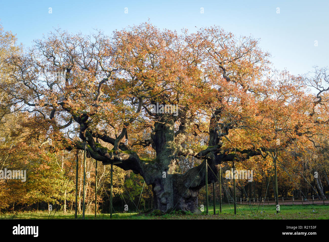 Sherwood Forest 2 Bedroom New Style Executive Lodge At Center Parcs