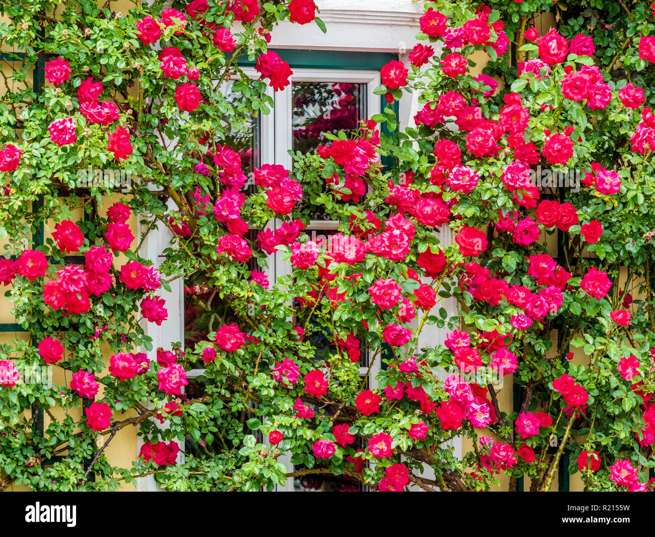 Mostviertel area in Austria Stock Photo - Alamy