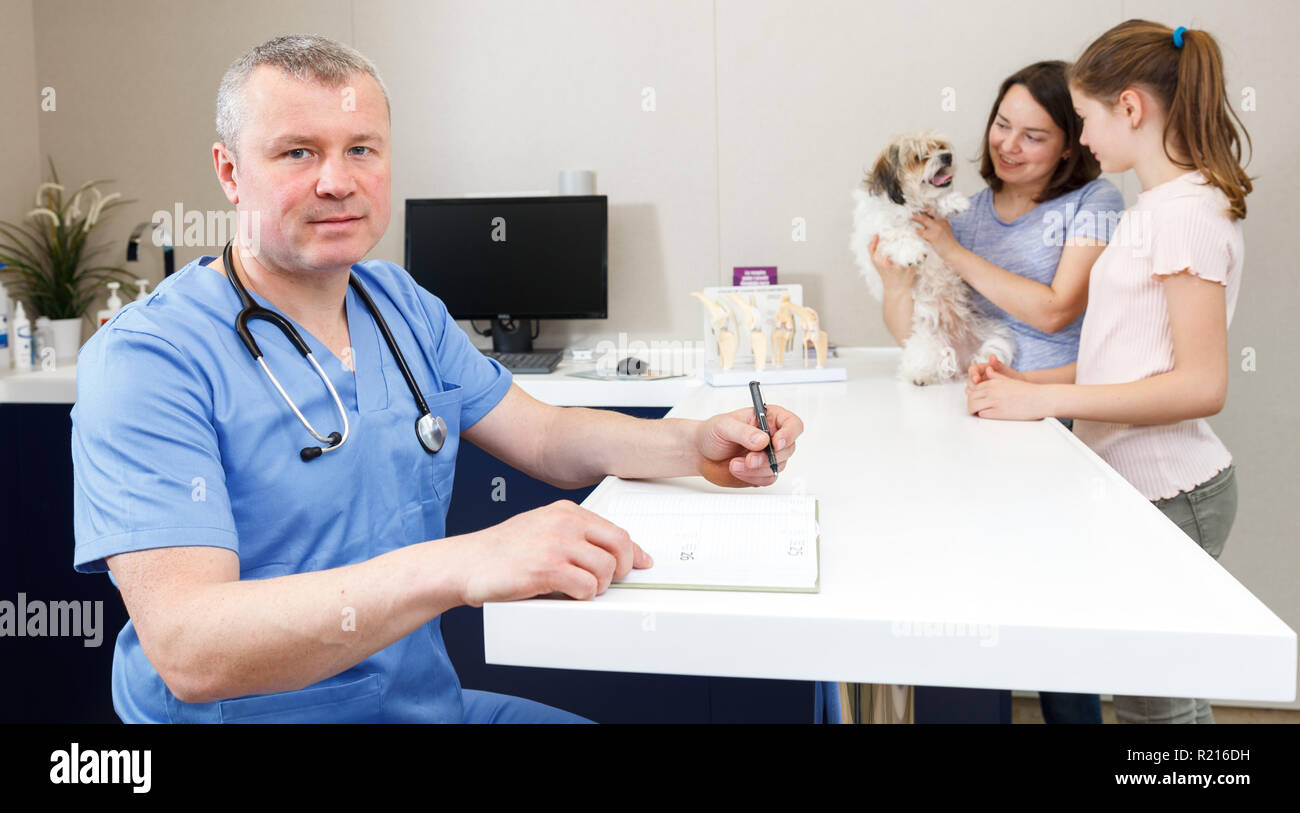 Experienced veterinarian working with patient history, writing ...