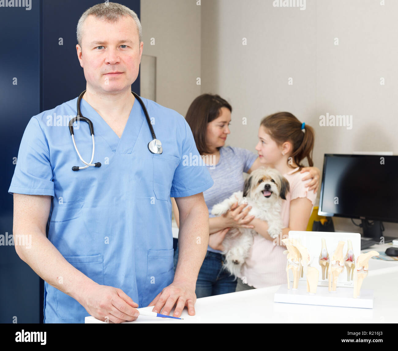 Portrait of professional man veterinarian posing at modern vet clinic ...