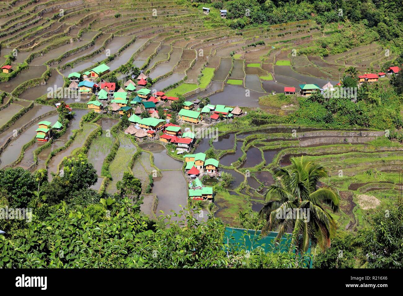 Philippines rice terraces - rice cultivation in Batad village (Banaue ...