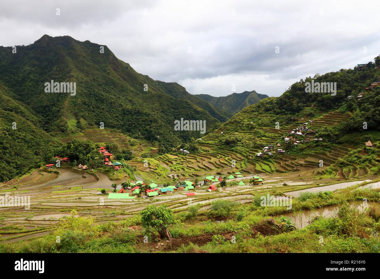 Philippines rice terraces - rice cultivation in Batad village (Banaue ...