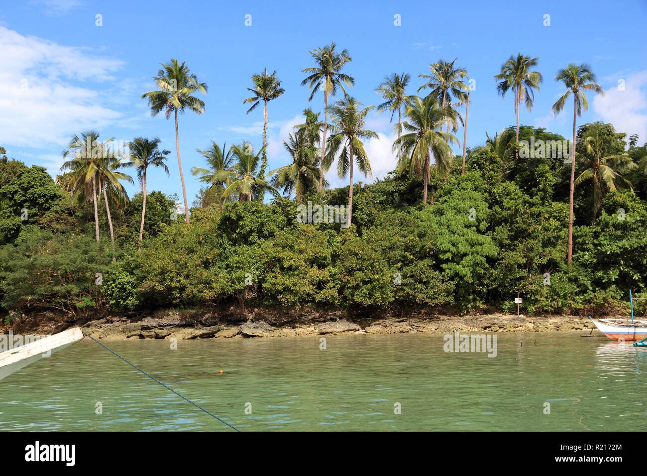 Natural landscape in Palawan island, Philippines. Snake Island Stock ...