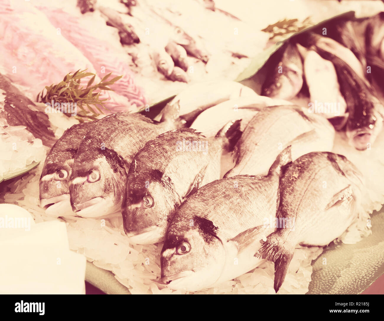 fresh raw dorado on fish market in ise Stock Photo - Alamy