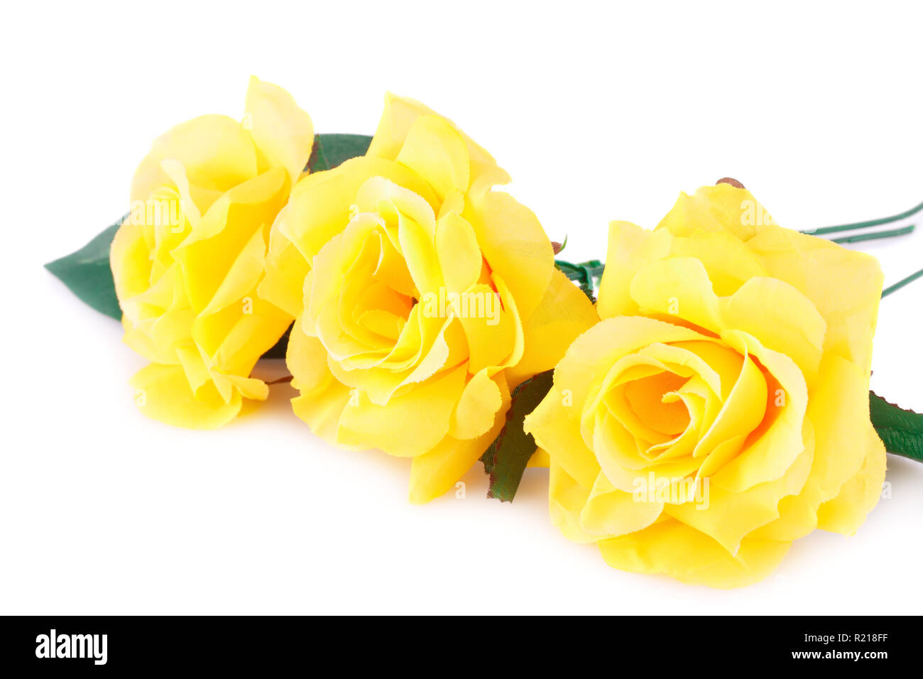 Yellow roses isolated on white background Stock Photo - Alamy