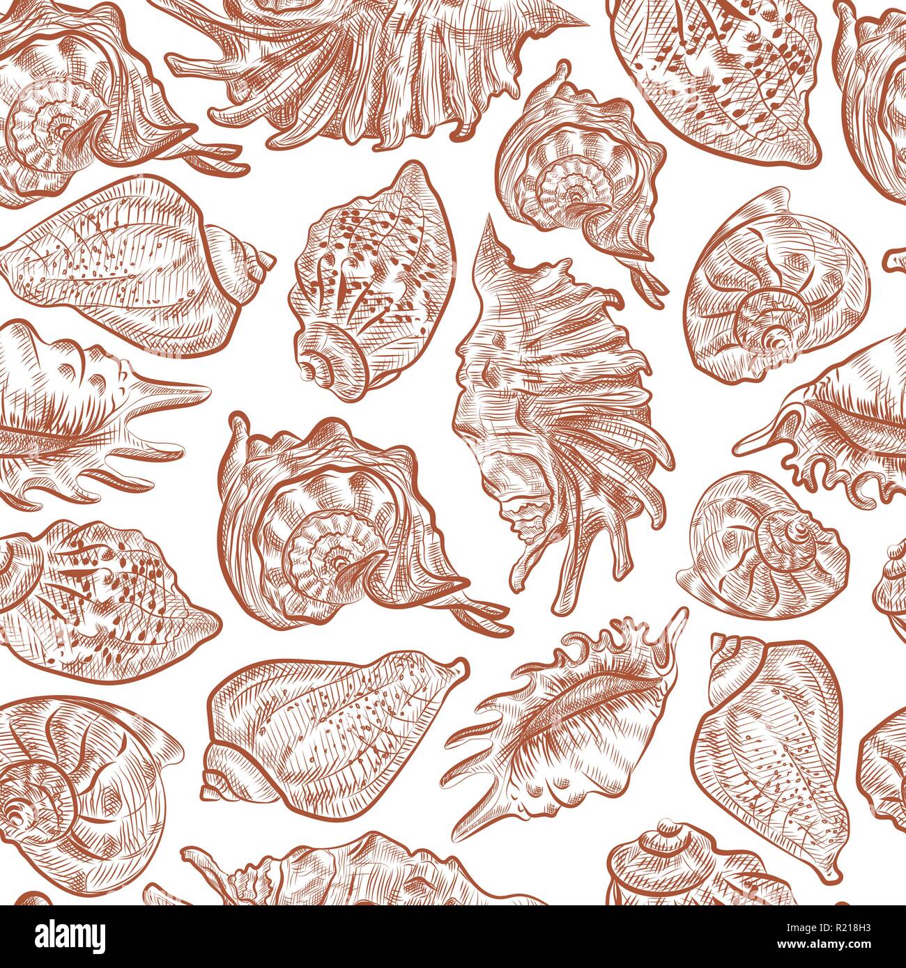 Hand drawn shells vector sketch Stock Vector Image & Art - Alamy