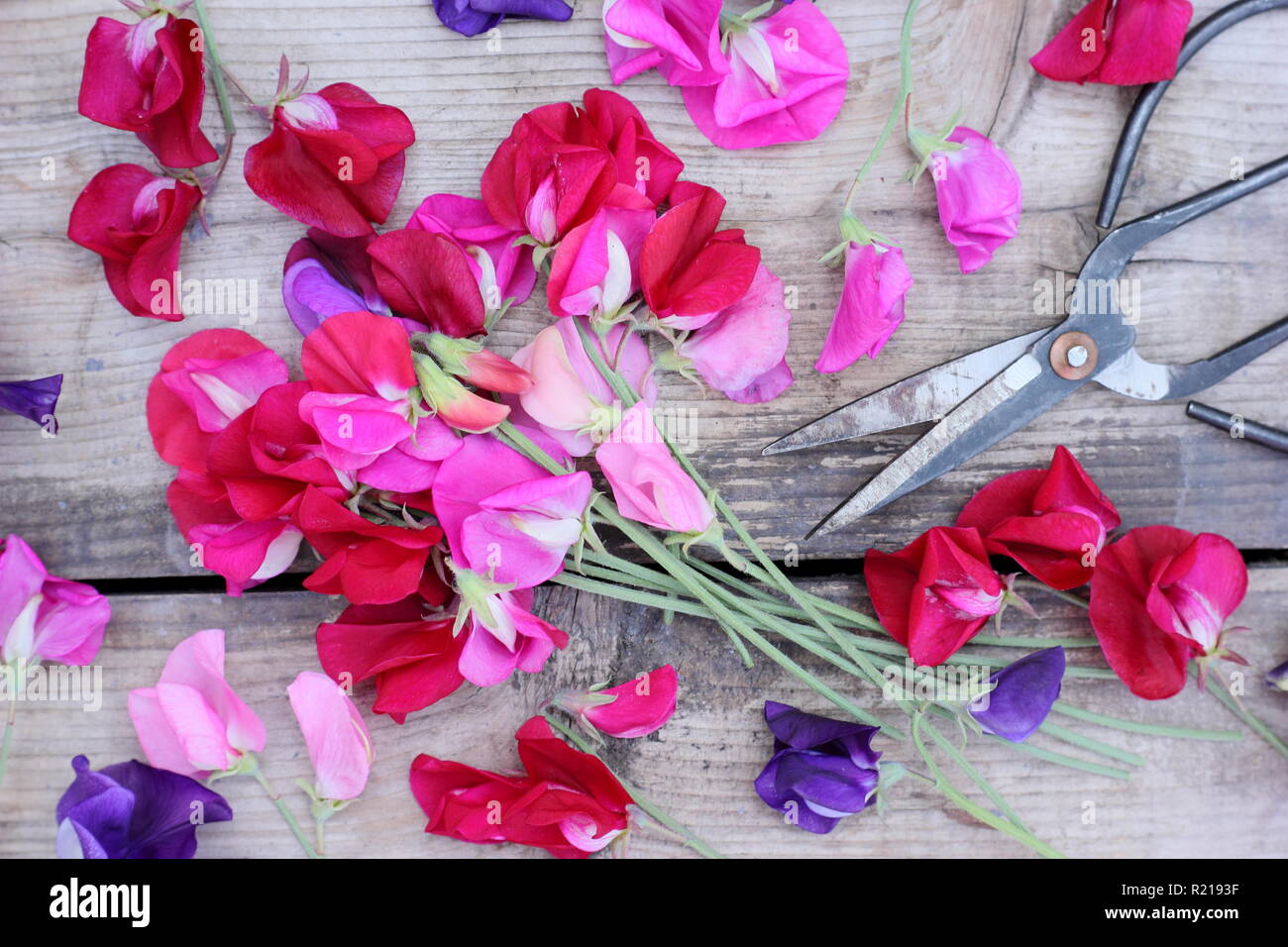 Pick flowers hi-res stock photography and images - Alamy